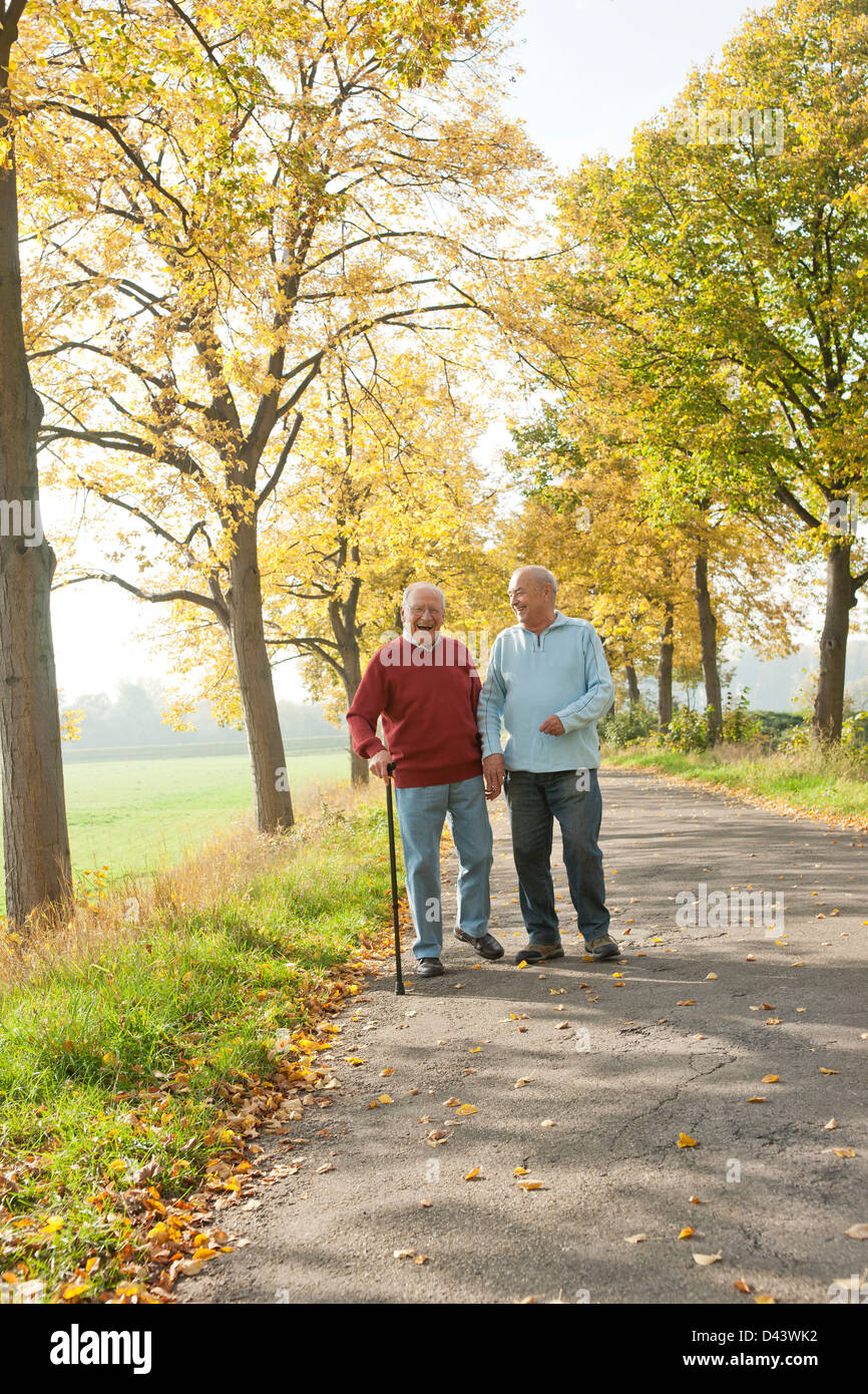 Senior Men Walking on Tree-lined Path in Autumn, Lampertheim, Hesse ...