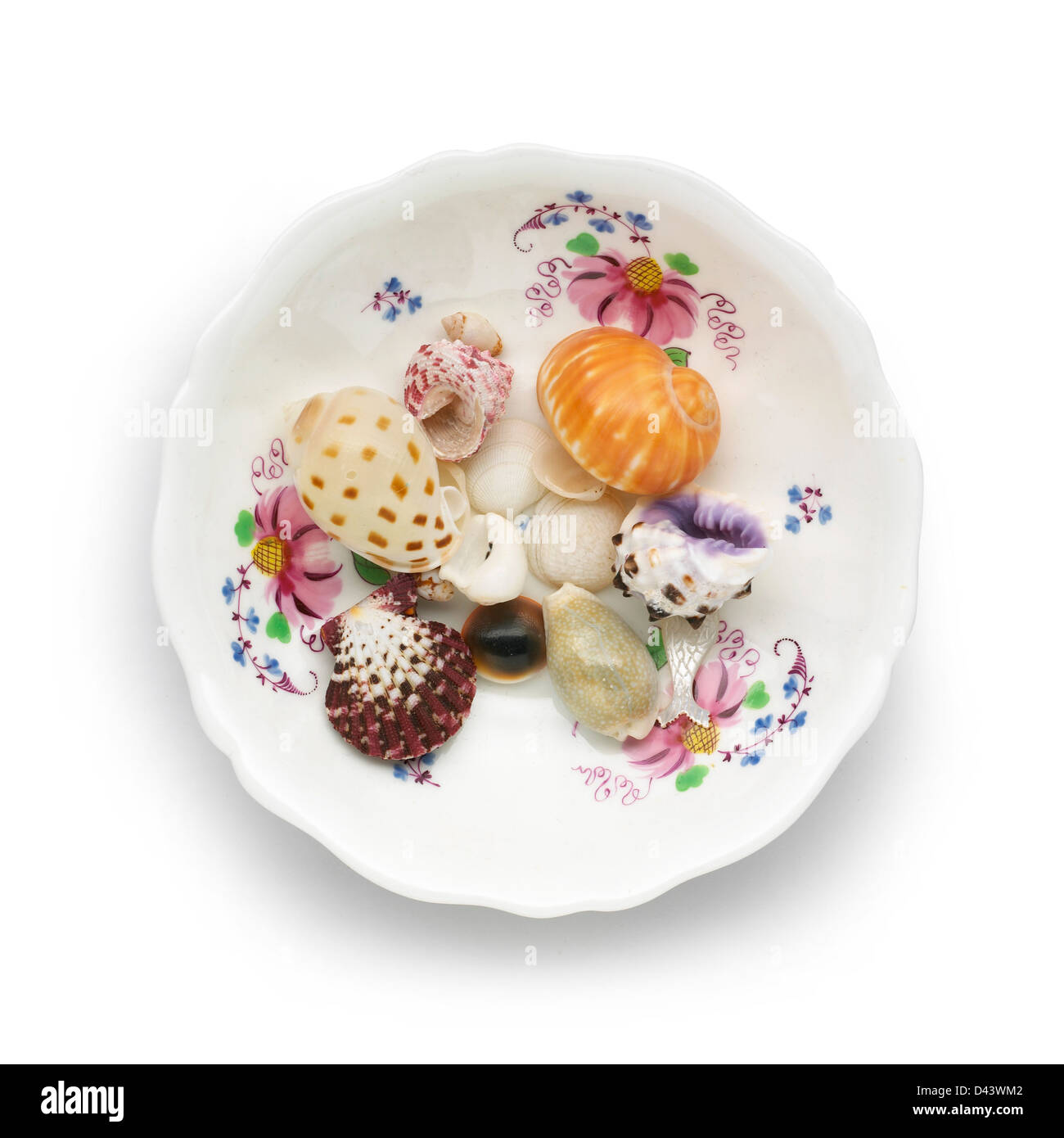 Bowl of different shells cut out white background Stock Photo - Alamy