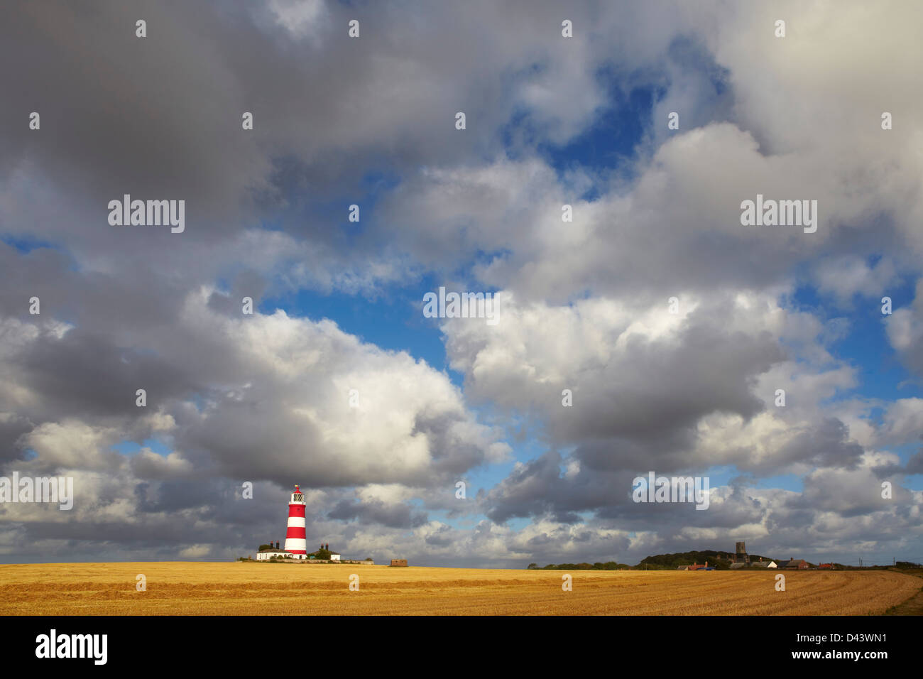 Blustery day hi-res stock photography and images - Alamy