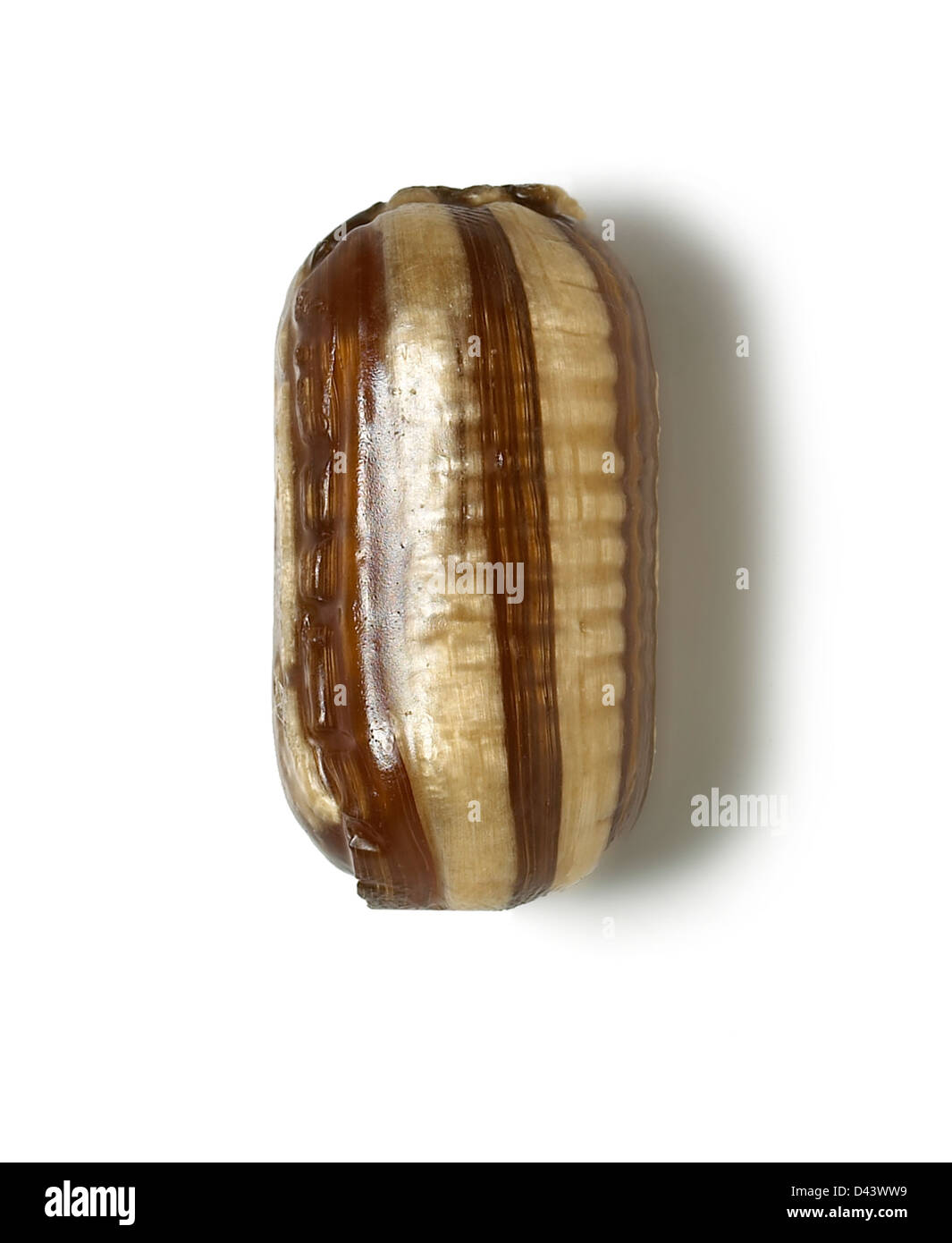 Single boiled sweet cut out white background Stock Photo - Alamy