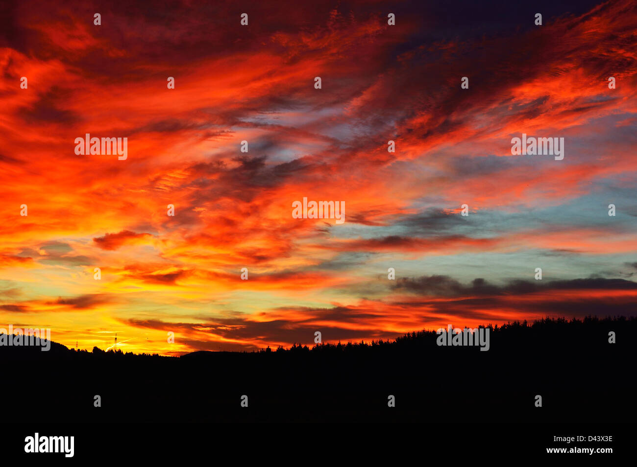 Baar black forest hi-res stock photography and images - Alamy