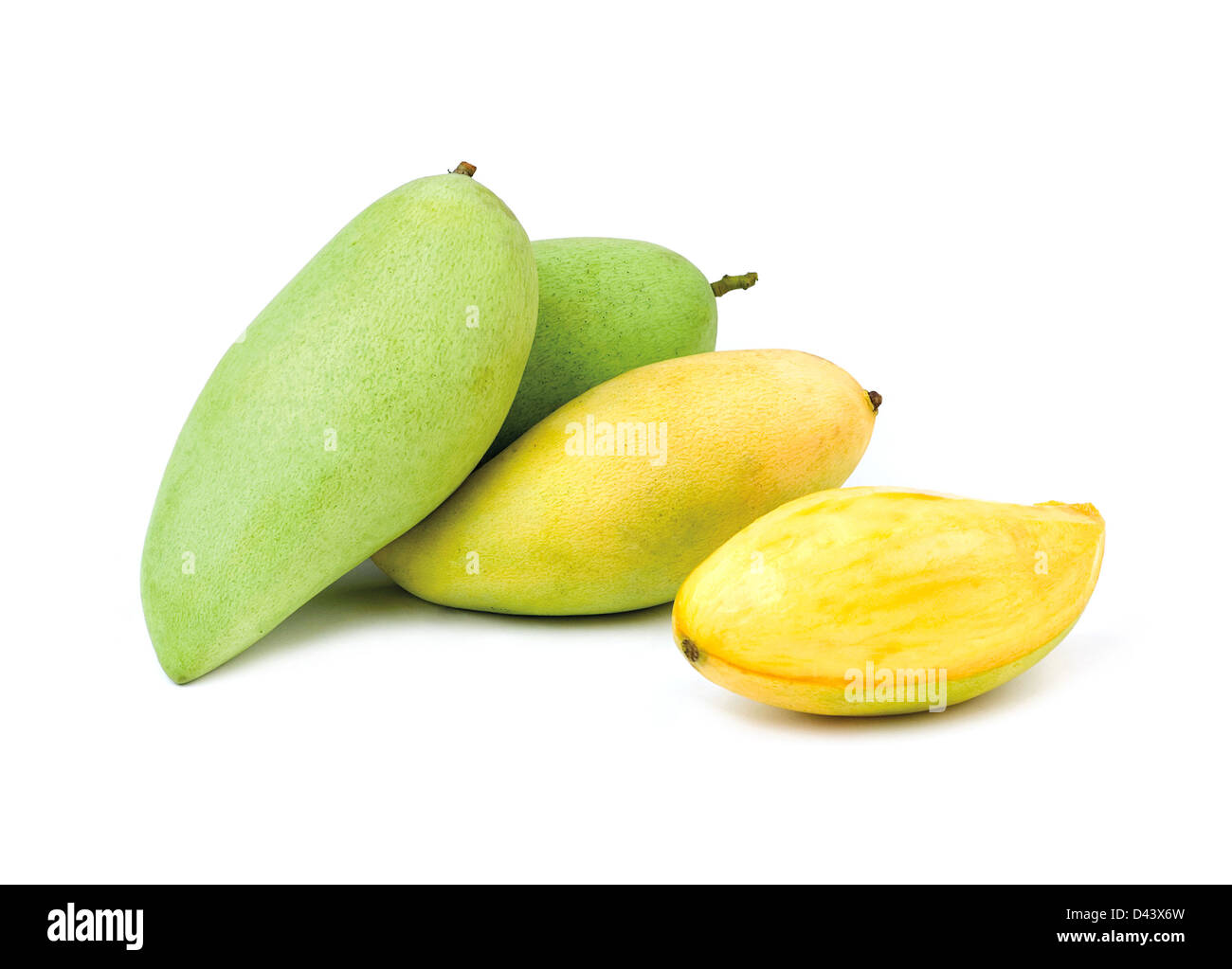 Sweet and great taste of the mango Thailand tropical seasonal fruit ...