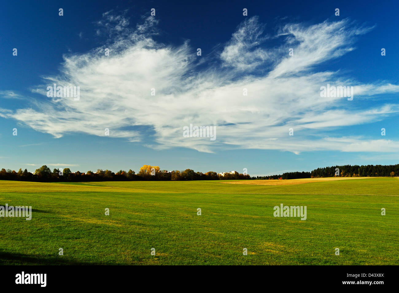 Baar black forest hi-res stock photography and images - Alamy