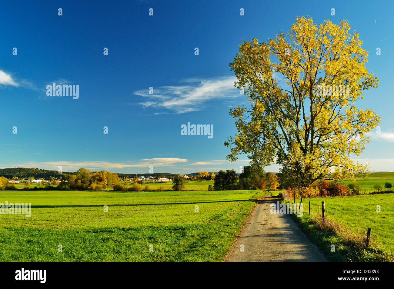 Schwarzwald-Baar, Black Forest, Baden-Wurttemberg, Germany Stock Photo ...
