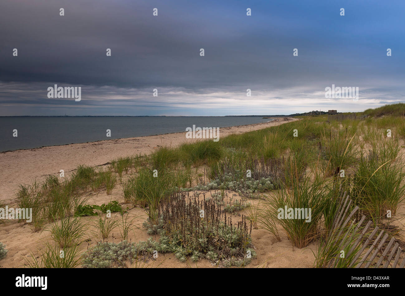 Beach with Grass and Fence, Cape Cod, Massachusetts, USA Stock Photo ...