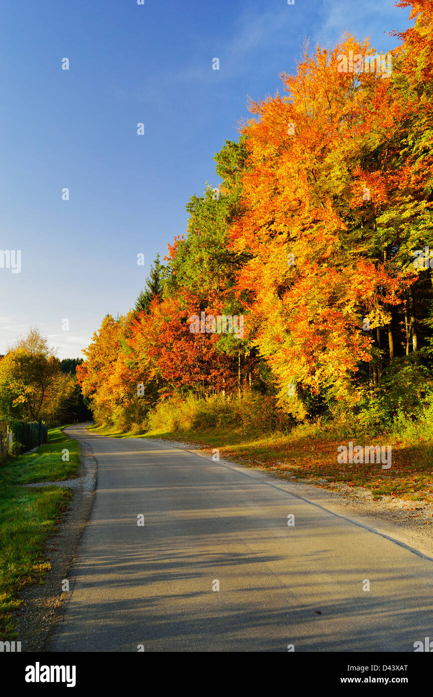 Western baar hi-res stock photography and images - Alamy