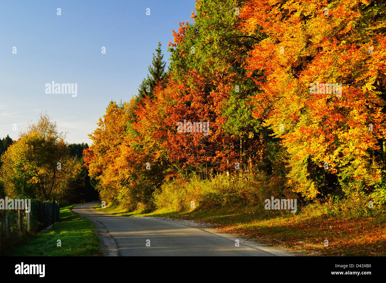 Schwarzwald-Baar, Baden-Wurttemberg, Germany Stock Photo - Alamy