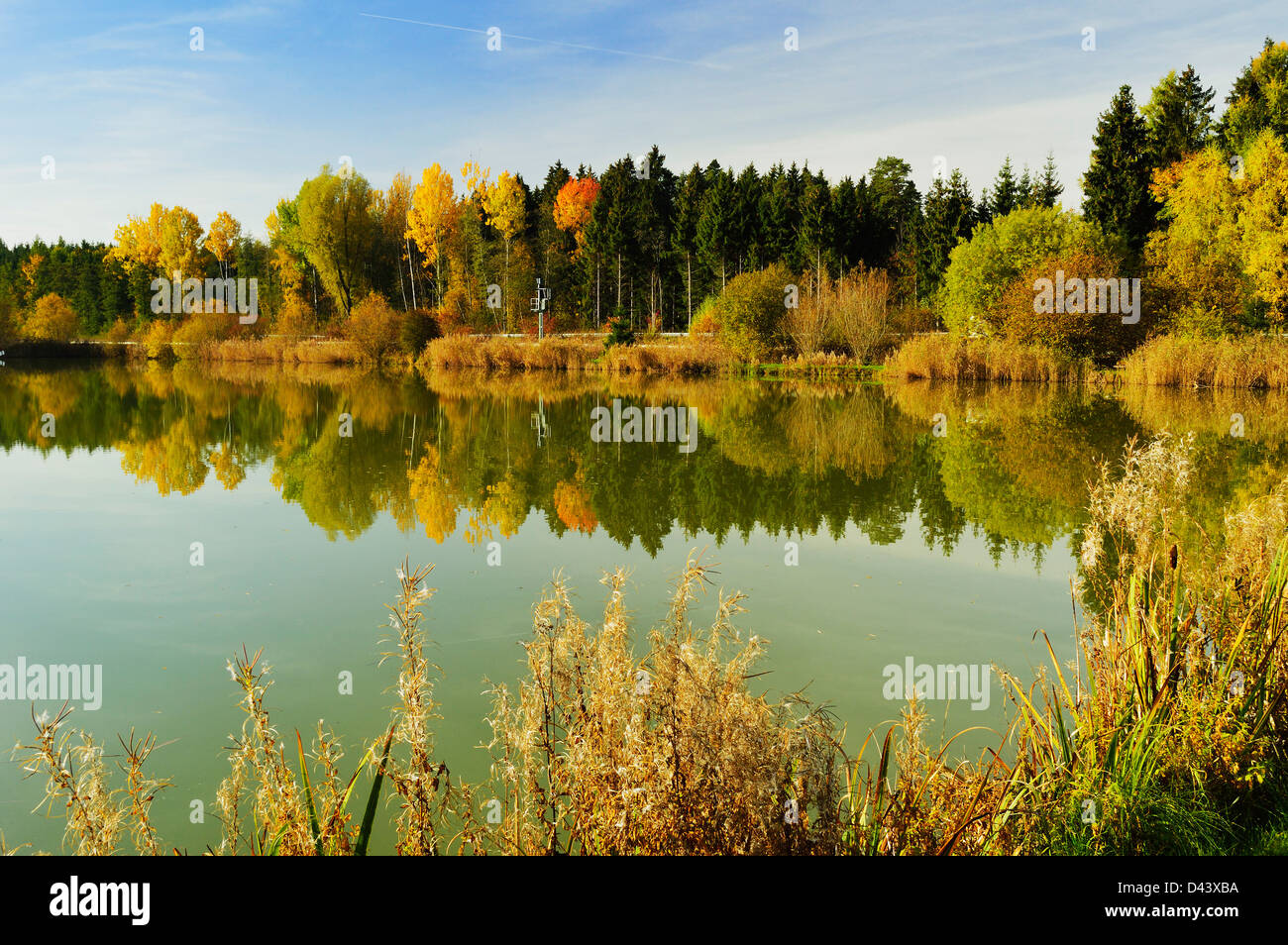 Baar black forest hi-res stock photography and images - Alamy