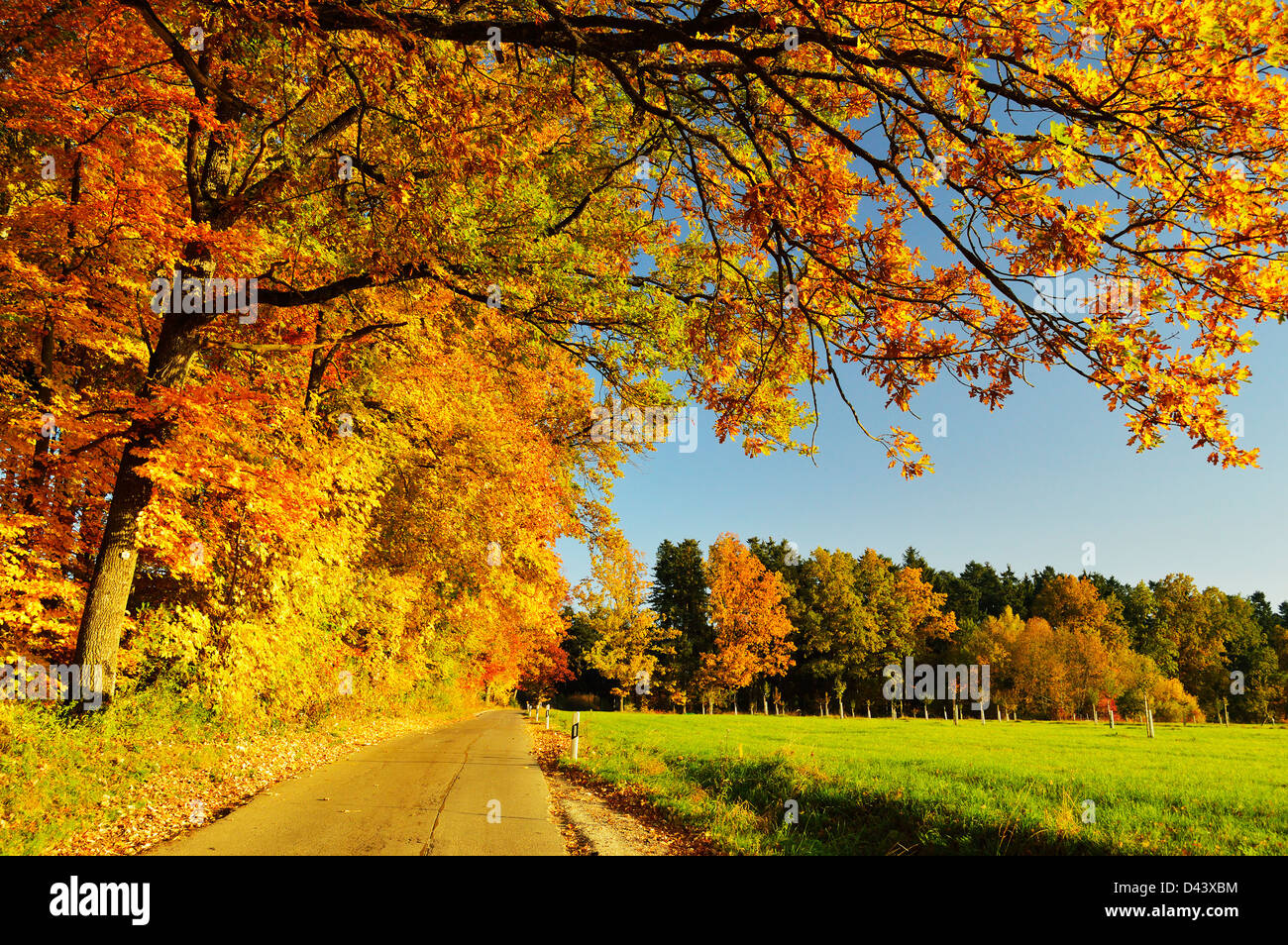 Western baar hi-res stock photography and images - Alamy