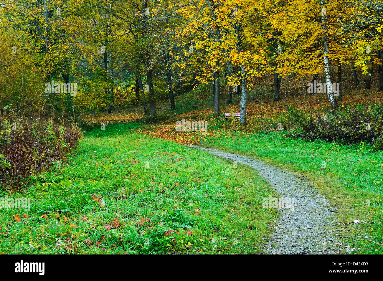 Schwarzwald baar hi-res stock photography and images - Alamy