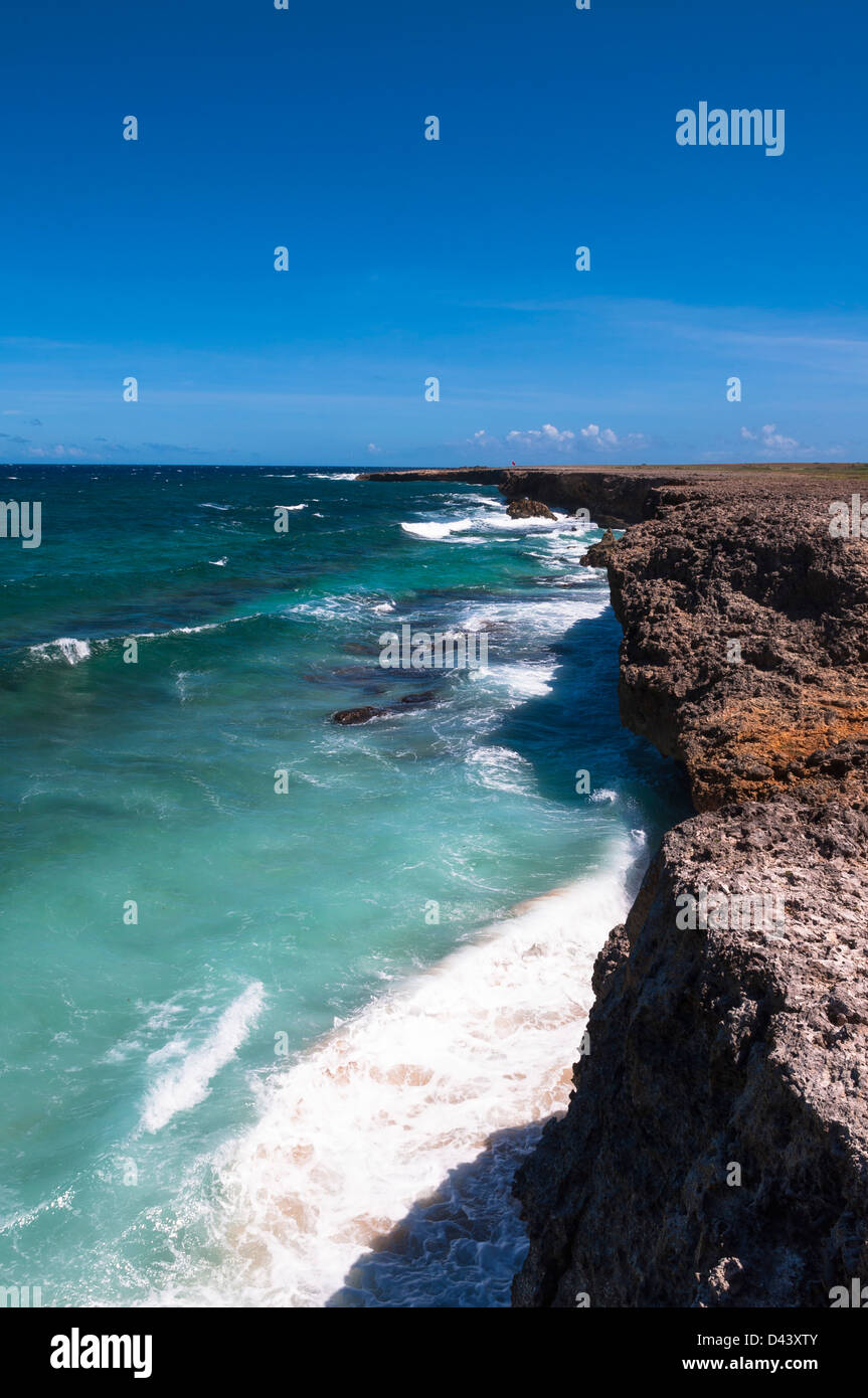 Scenic Shoreline with Cliffs, Arikok National Park, Aruba, Lesser ...