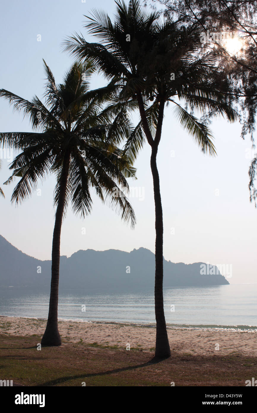Coconut tree beach hi-res stock photography and images - Alamy