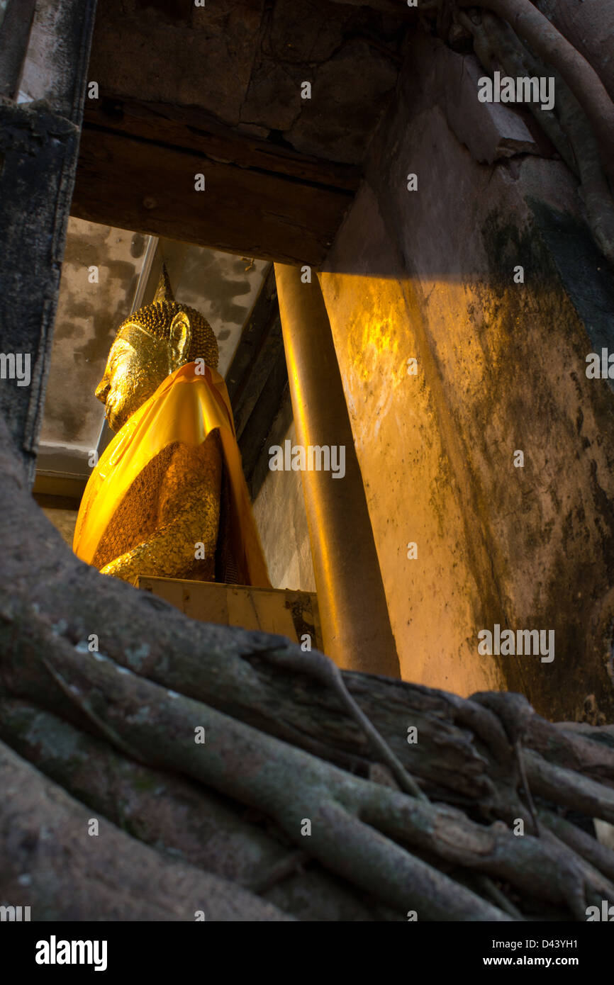 Tree root sit on a ruin ancient temple Stock Photo - Alamy