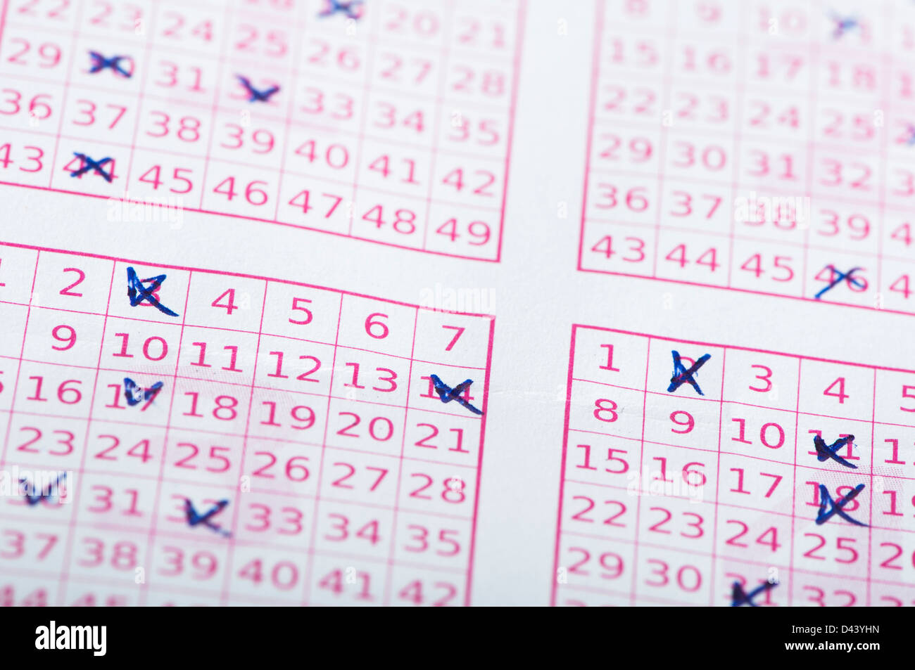 Marked lottery ticket close up. Studio shot Stock Photo - Alamy