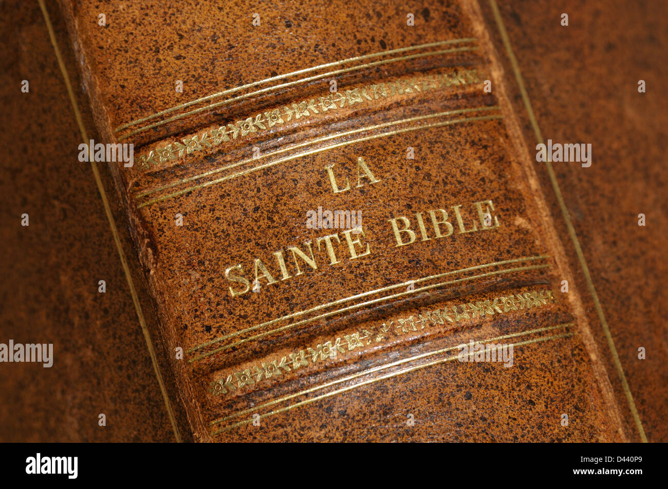 Close-up of Spine of The Holy Bible Stock Photo - Alamy