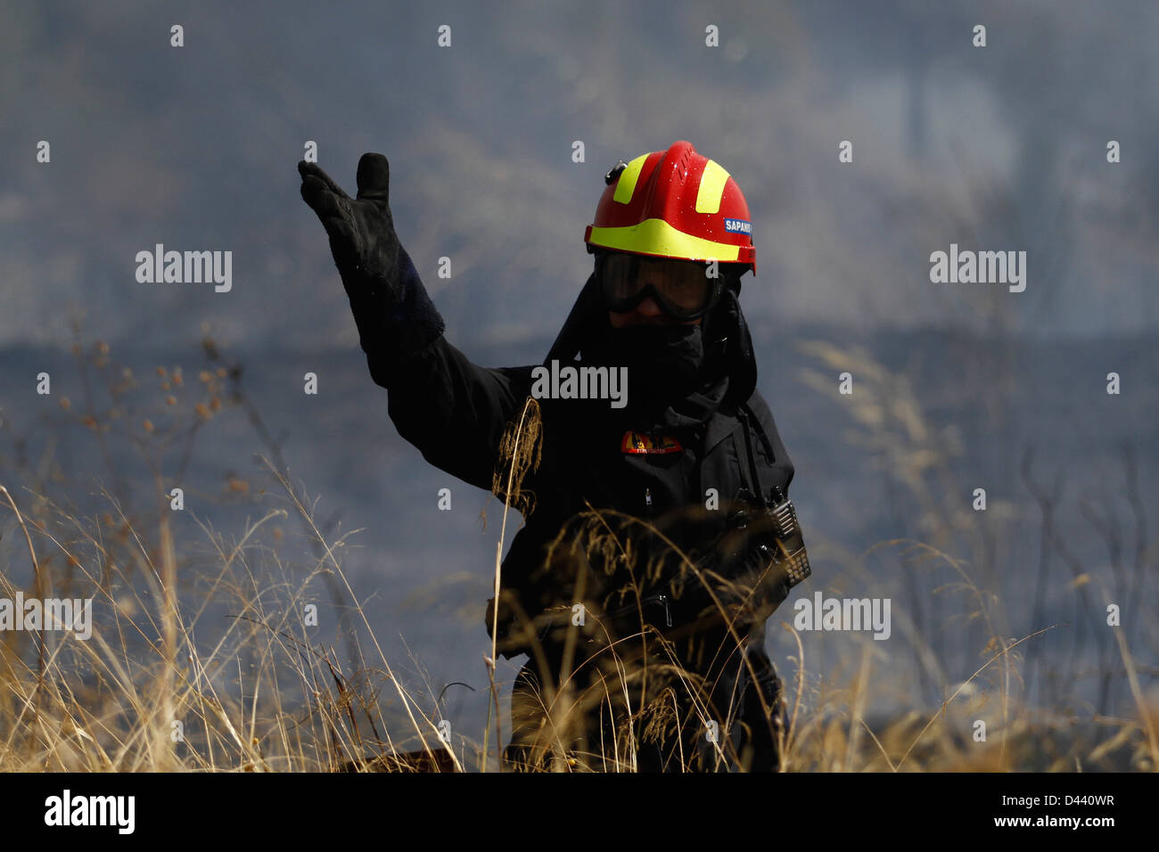 Seich sou forest hi-res stock photography and images - Alamy