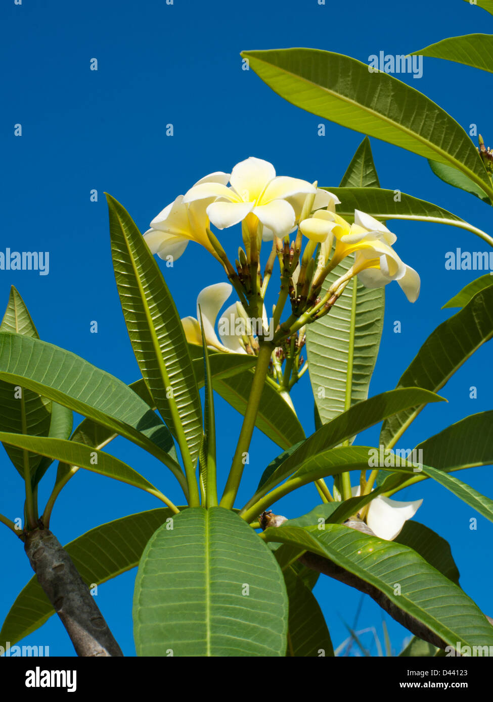 Welcome To Bali Sign High Resolution Stock Photography and Images - Alamy