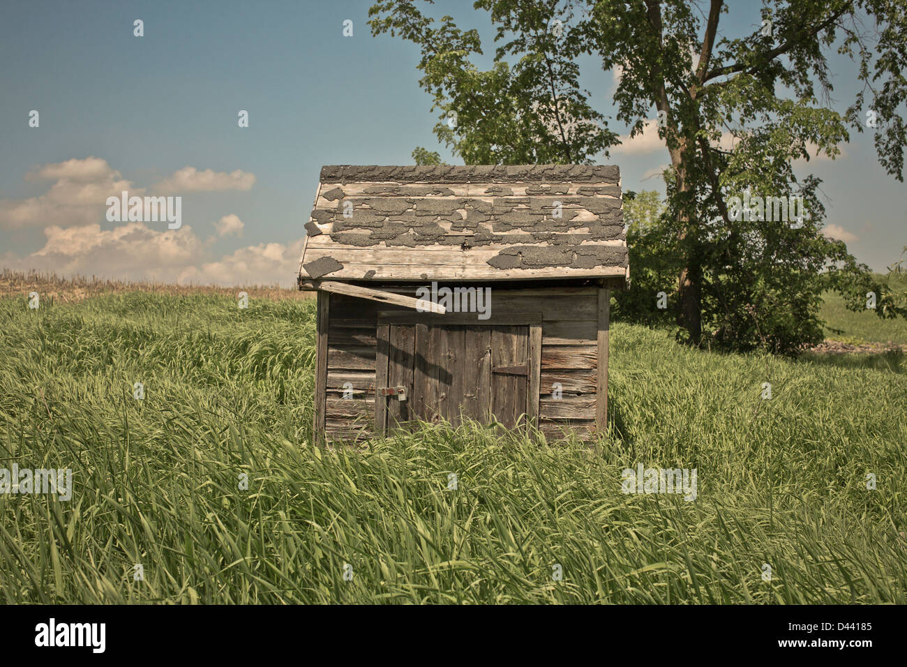 Shack in Field, Innisfil, Ontario, Canada Stock Photo - Alamy