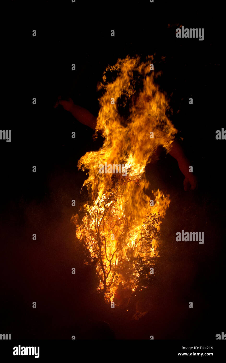 Large flames of forest fire Stock Photo - Alamy