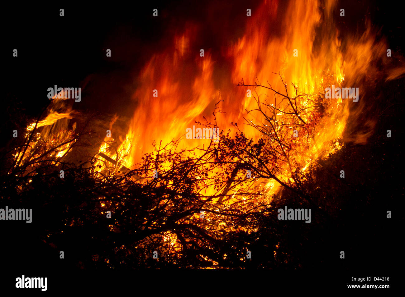 Large flames of forest fire Stock Photo - Alamy