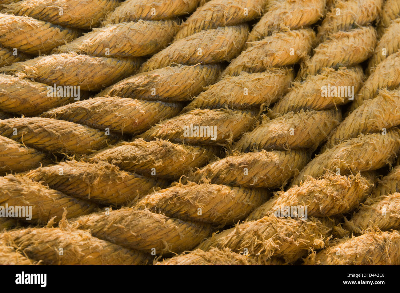 Coiled natural rope showing texture Stock Photo - Alamy