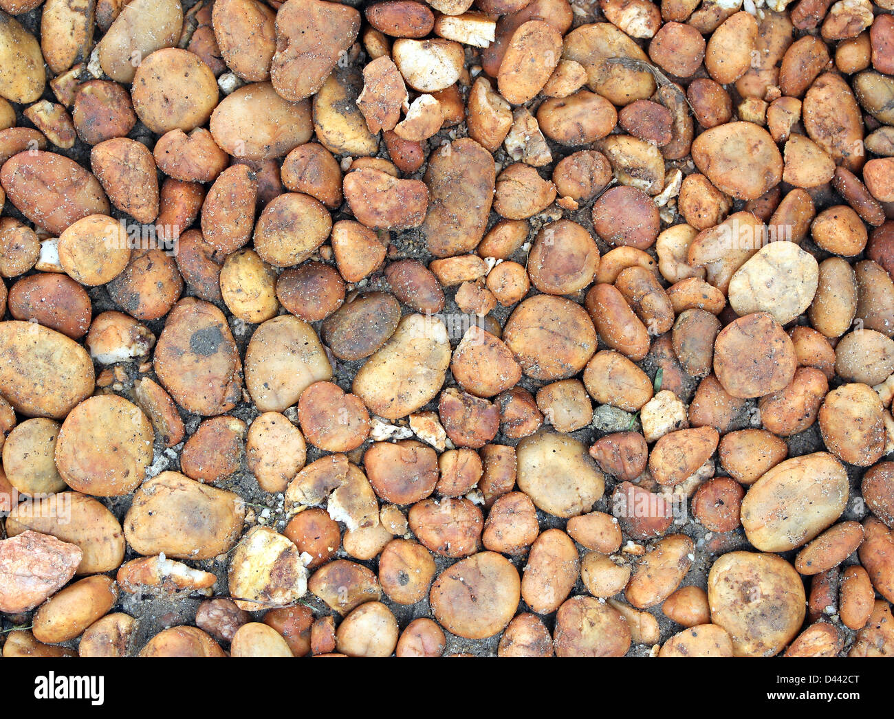 Closeup image of pebble stone walkway outdoor in the garden Stock Photo ...