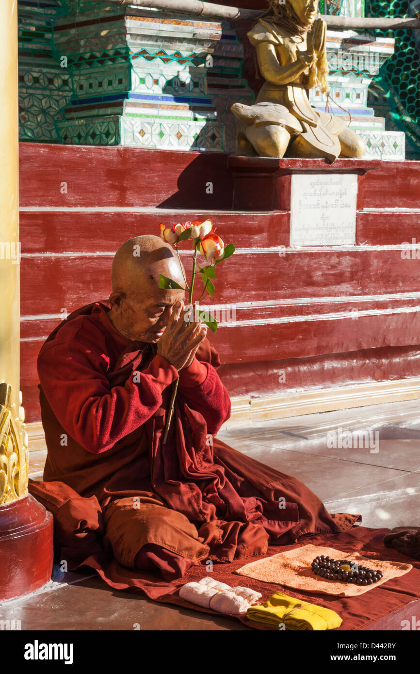Myanmar, Yangon, Shwedagon Pagoda, Buddhist Monk Praying Stock Photo ...