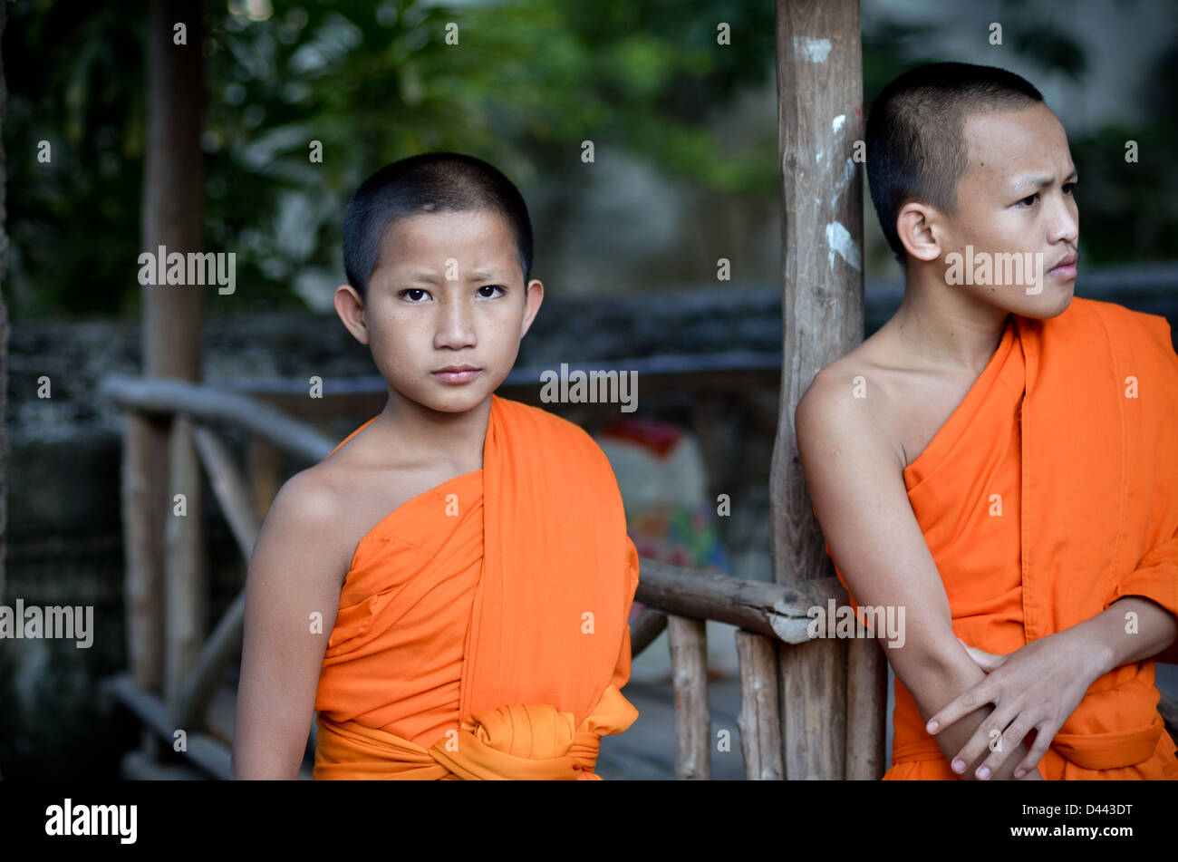 Two novice monks in Luang Prabang, Laos Stock Photo - Alamy