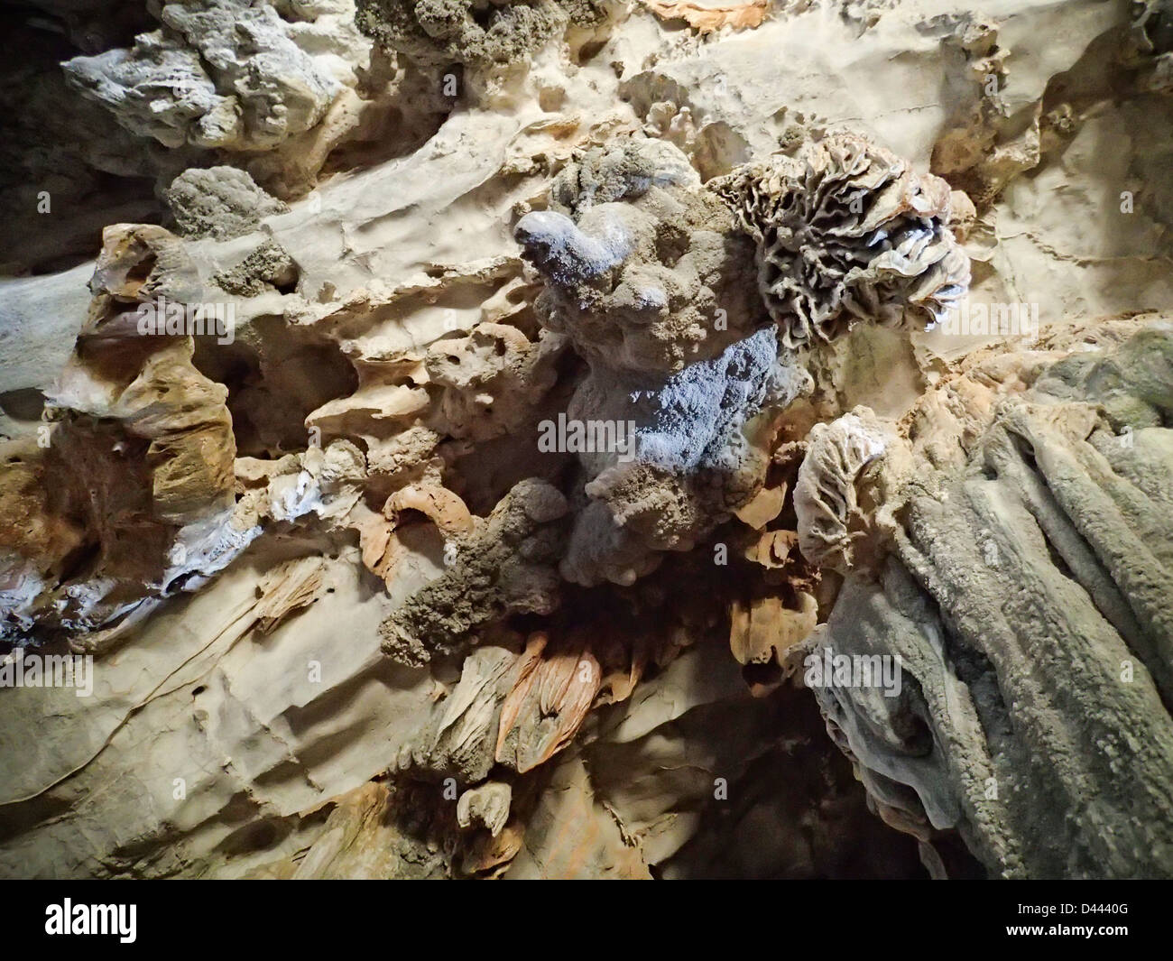 Stalactites in cave roof hi-res stock photography and images - Alamy