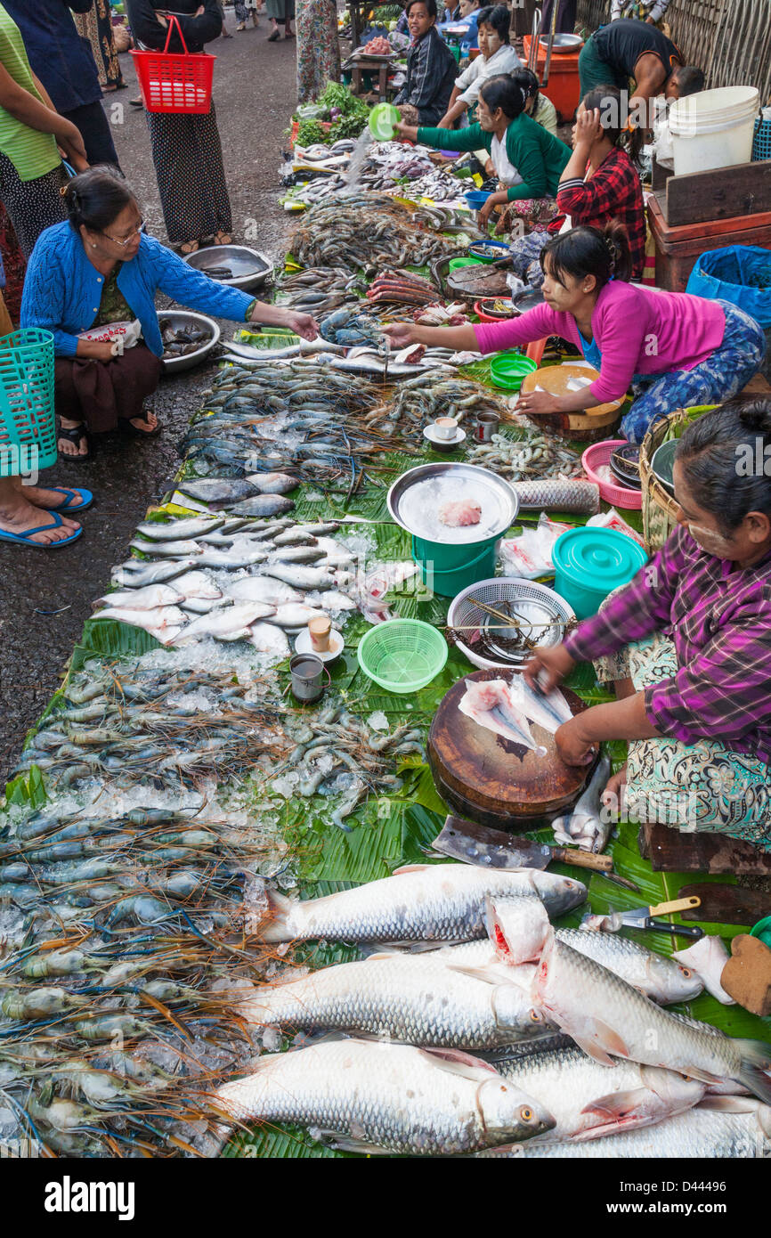 Myanmar, Yangon, Street Market, Fish and Seafood Stock Photo - Alamy