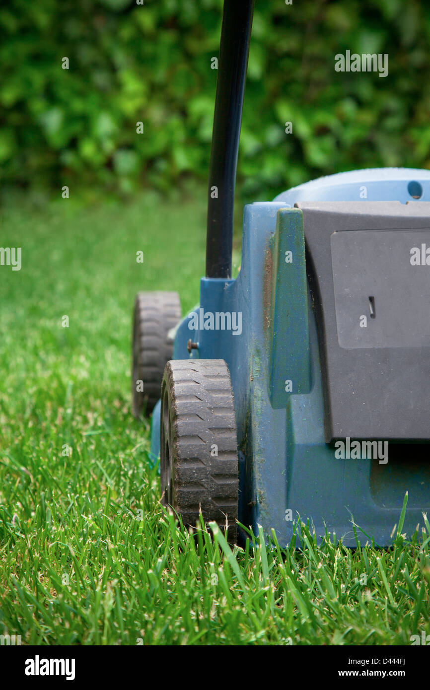 Back view of a lawn mower working at the garden Stock Photo - Alamy