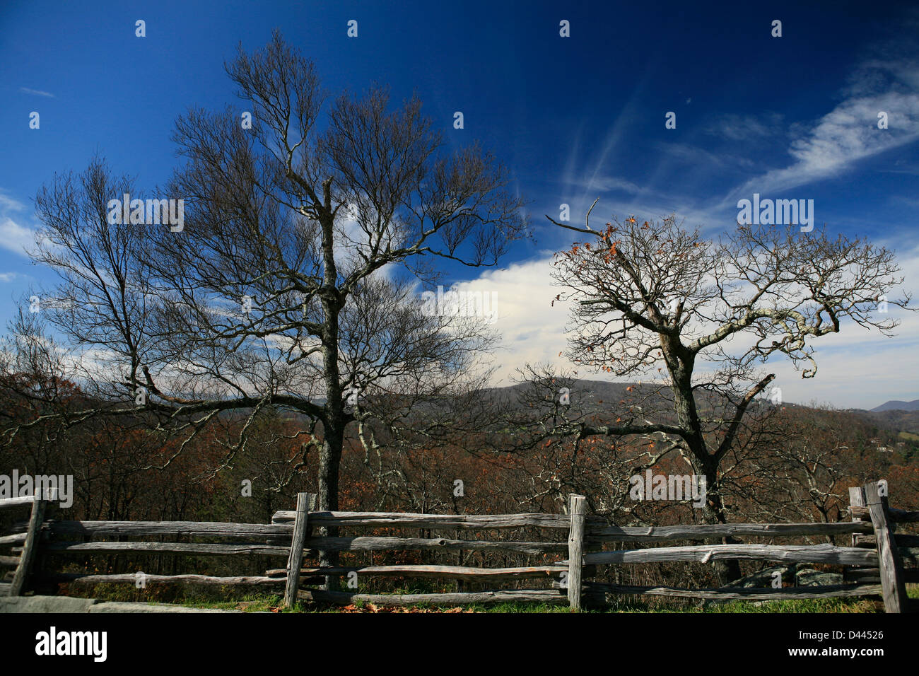 Bar and trees hi-res stock photography and images - Alamy