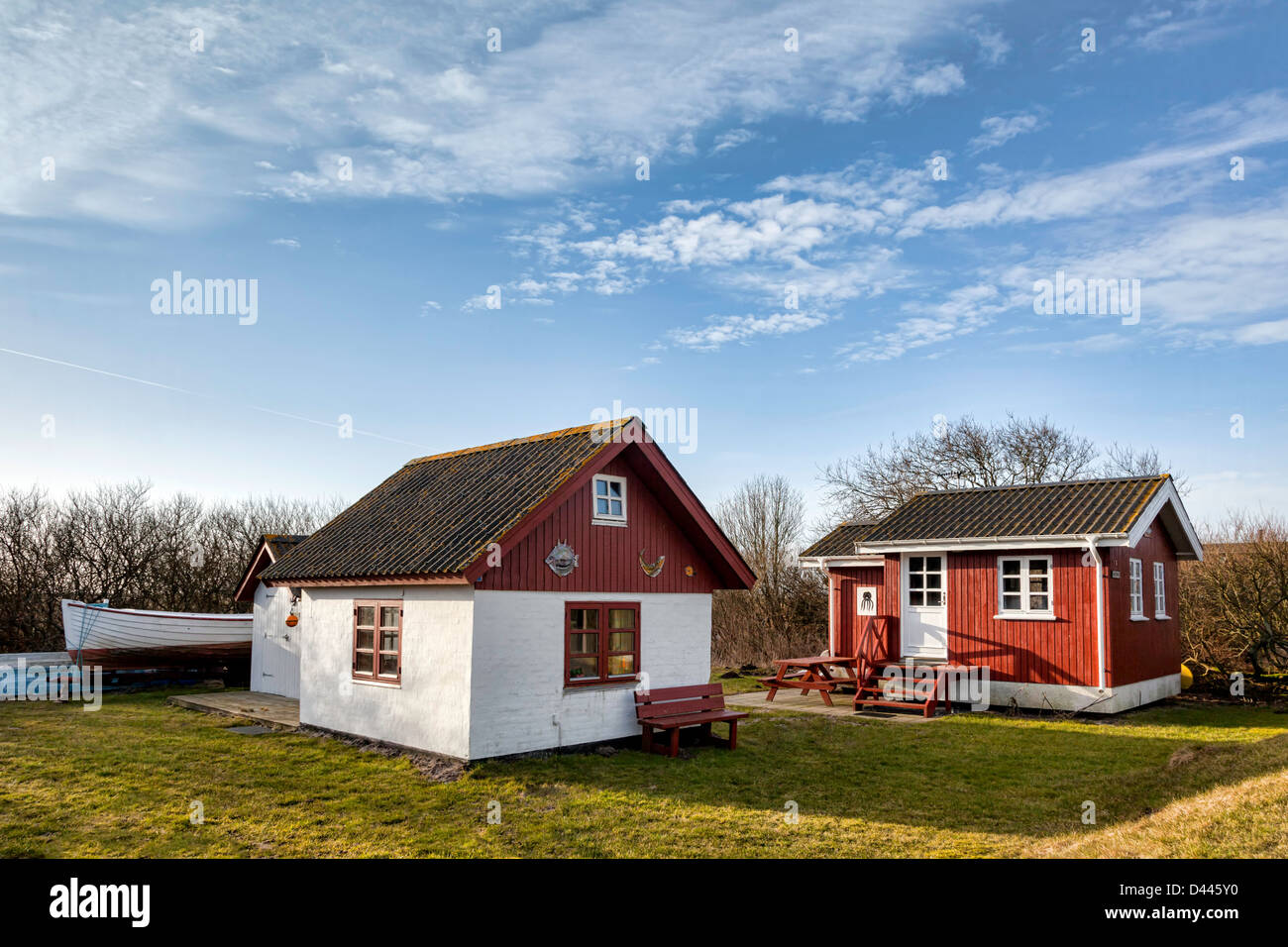 Shags in Stauning harbor in the western part of Denmark near Ringkobing ...