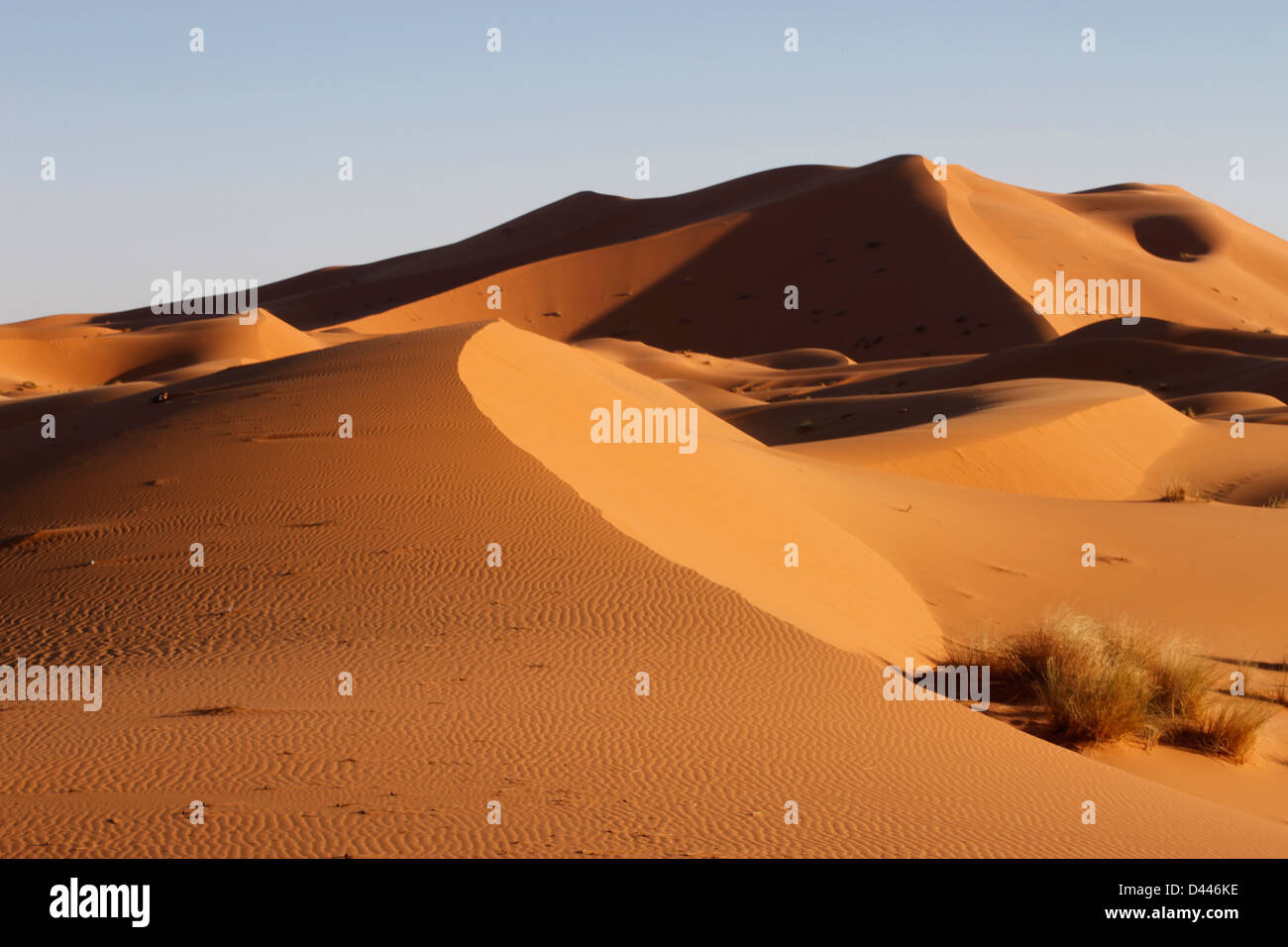 Sand dunes in the Sahara Desert Stock Photo - Alamy