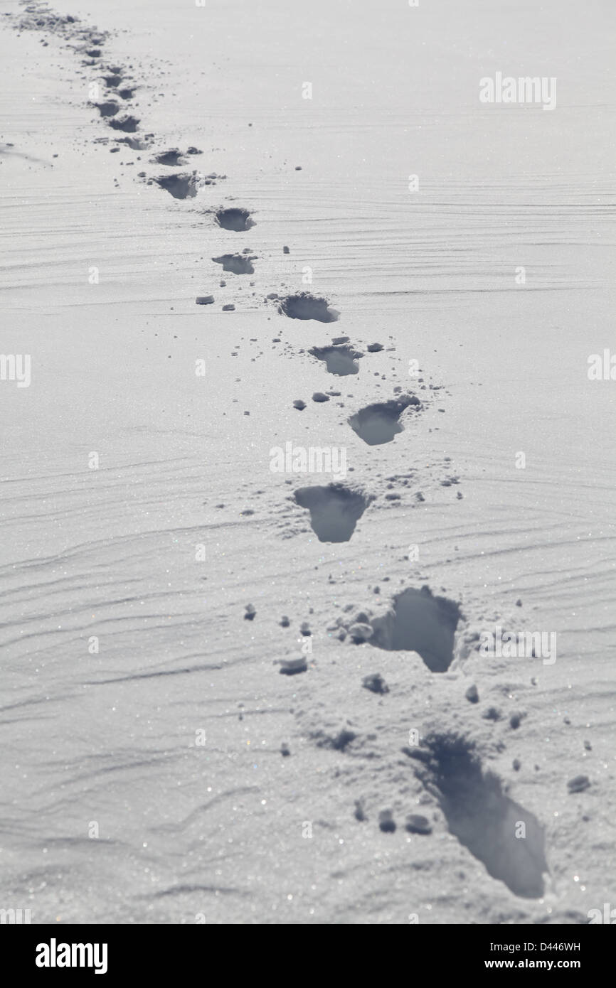 foot step snow Stock Photo - Alamy
