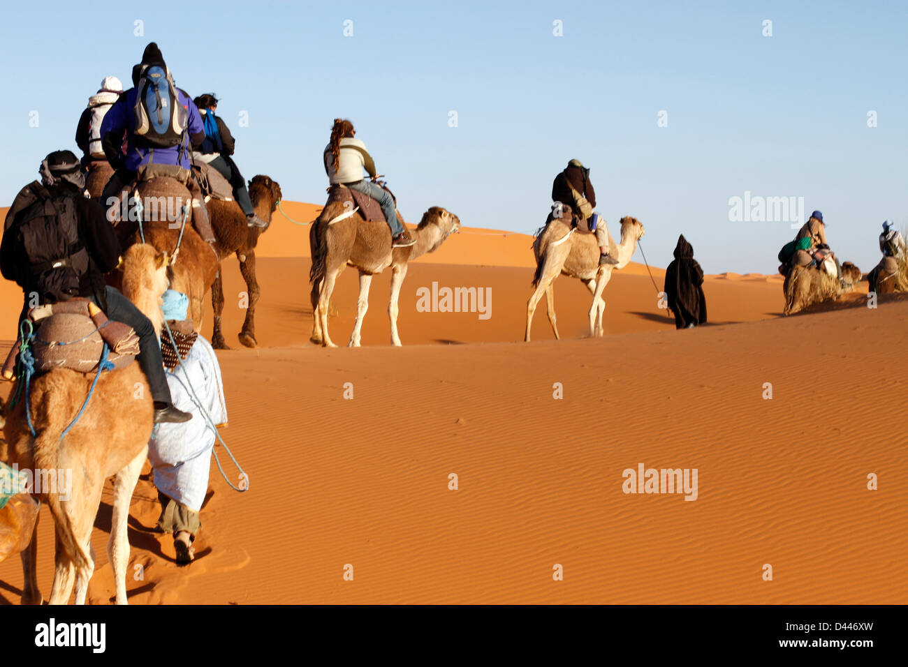 Camel rides in the Sahara Desert Stock Photo - Alamy