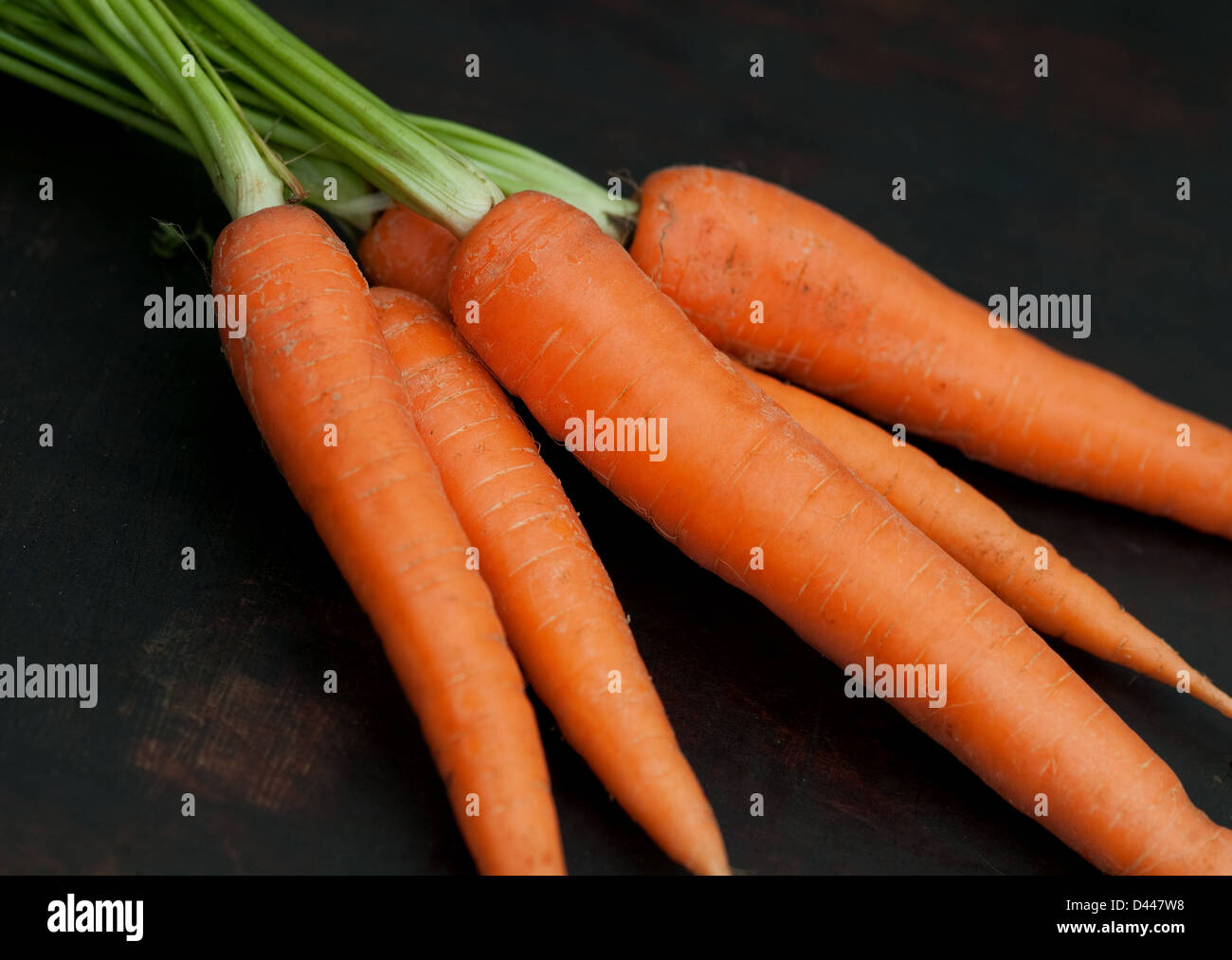 organic carrots with green shoots of the leaves in place Stock Photo ...