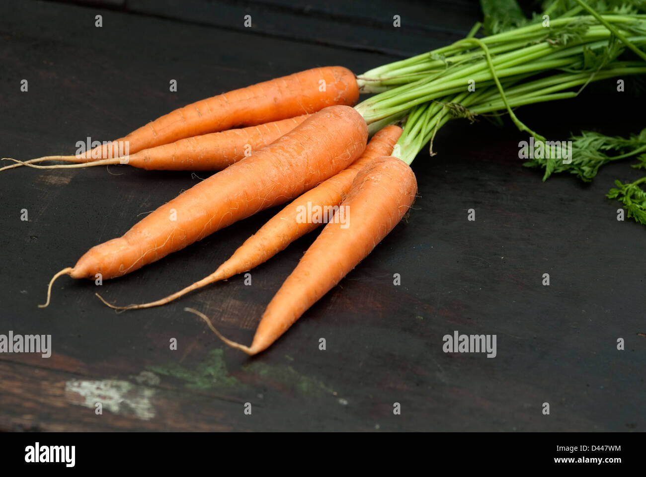 organic carrots with green shoots of the leaves in place Stock Photo ...
