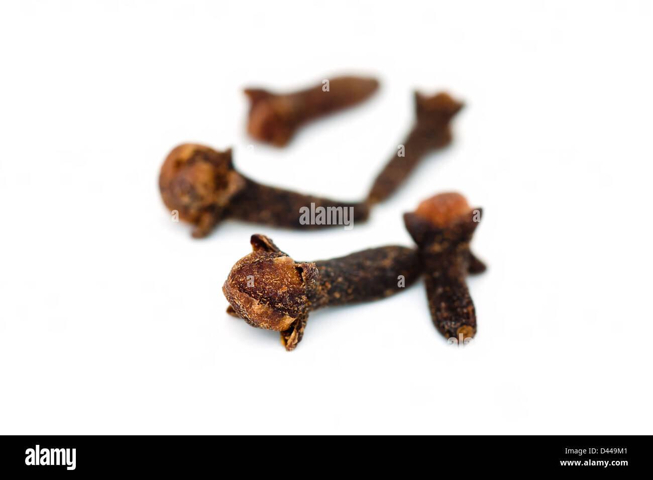 Cloves on a white background Stock Photo - Alamy