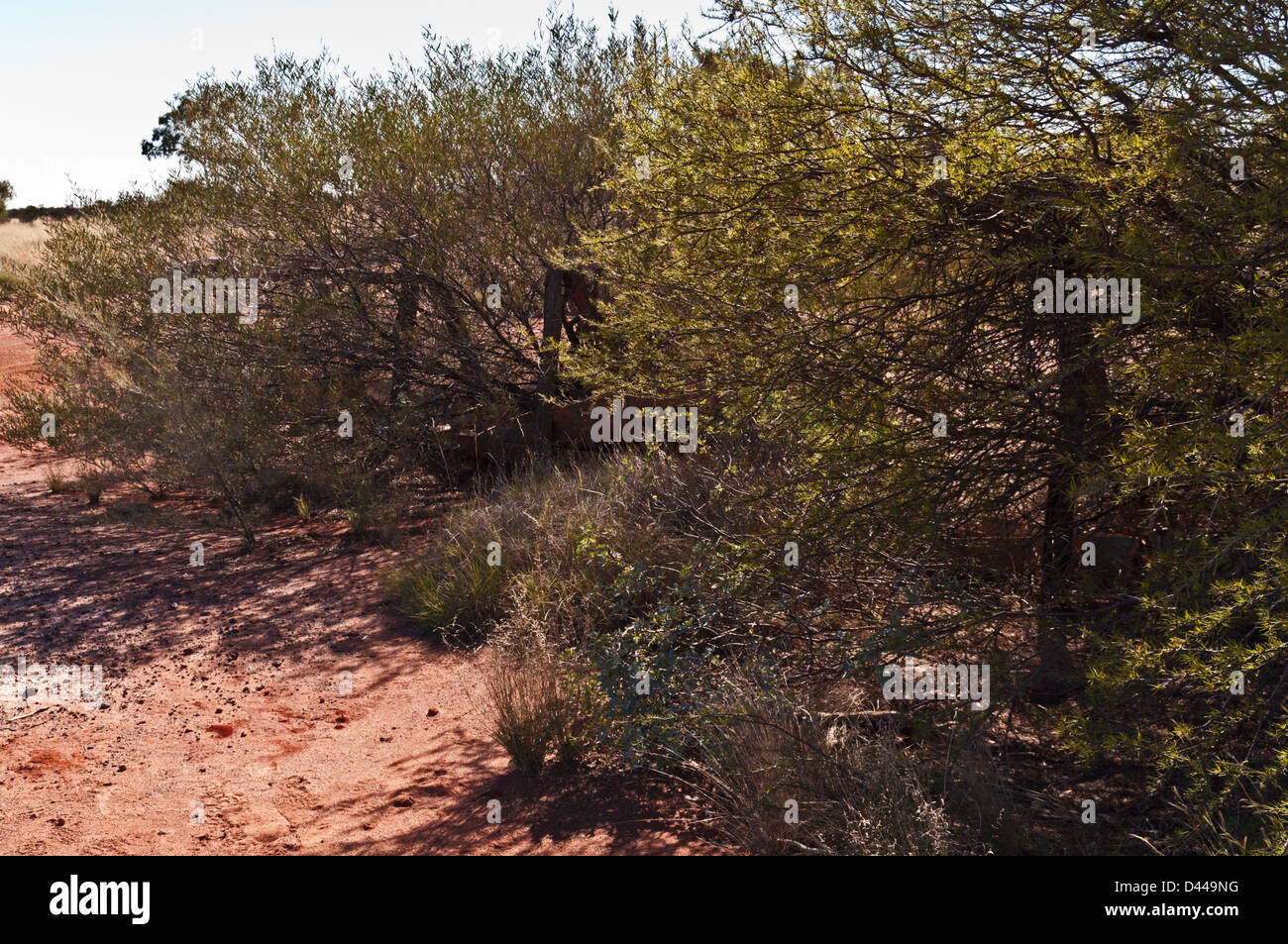 14 well hi-res stock photography and images - Alamy
