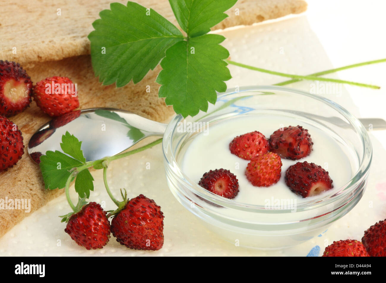 Breakfast with crispbread and wild berries Stock Photo - Alamy