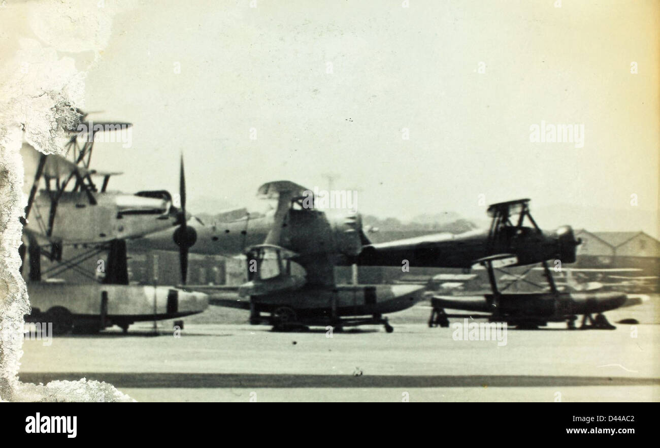 The Mitsubishi F1M2, known as 'Pete,' was a Japanese reconnaissance and ...