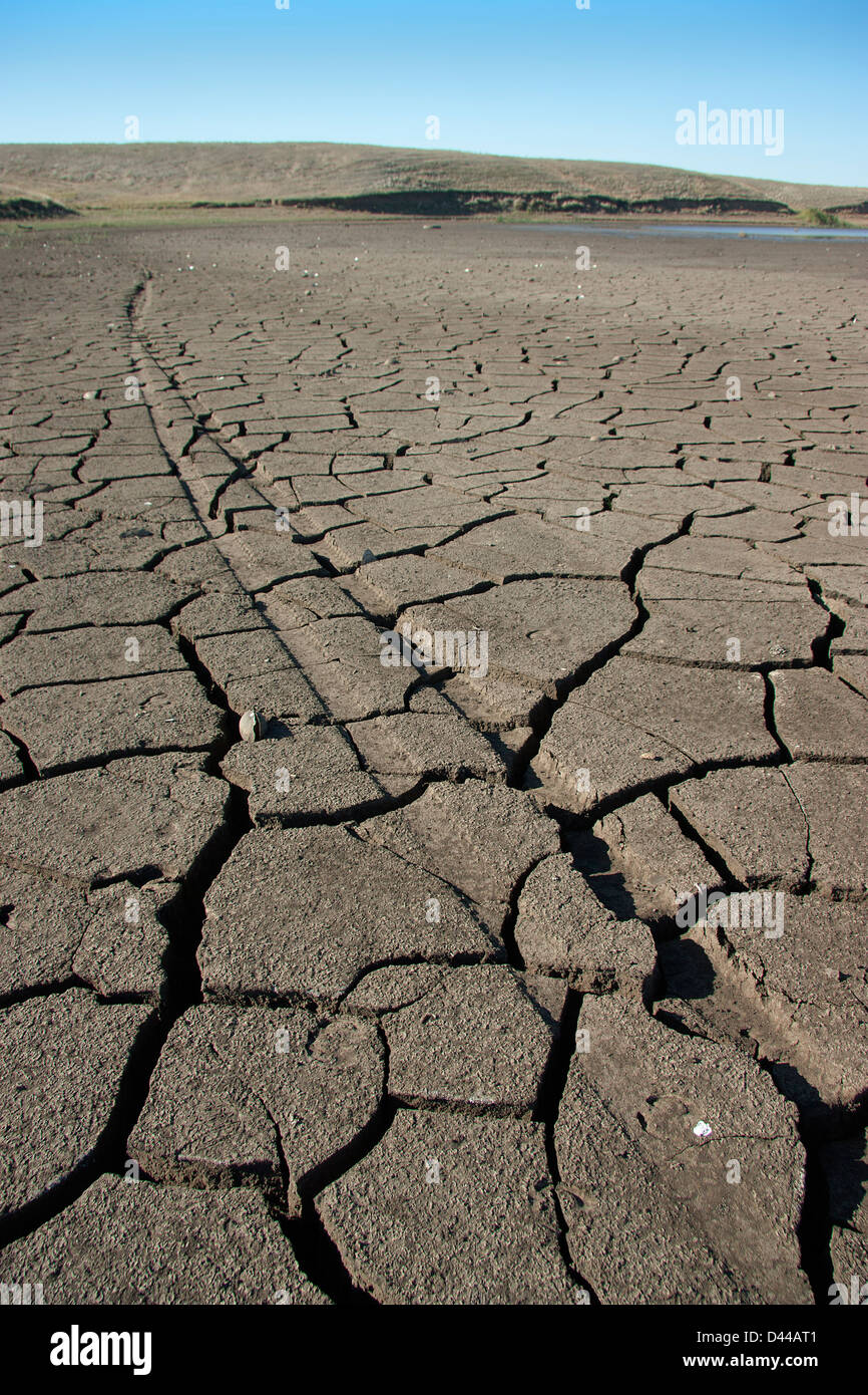 Dry earth, mud, cracked earth, the bottom of the reservoir Stock Photo ...