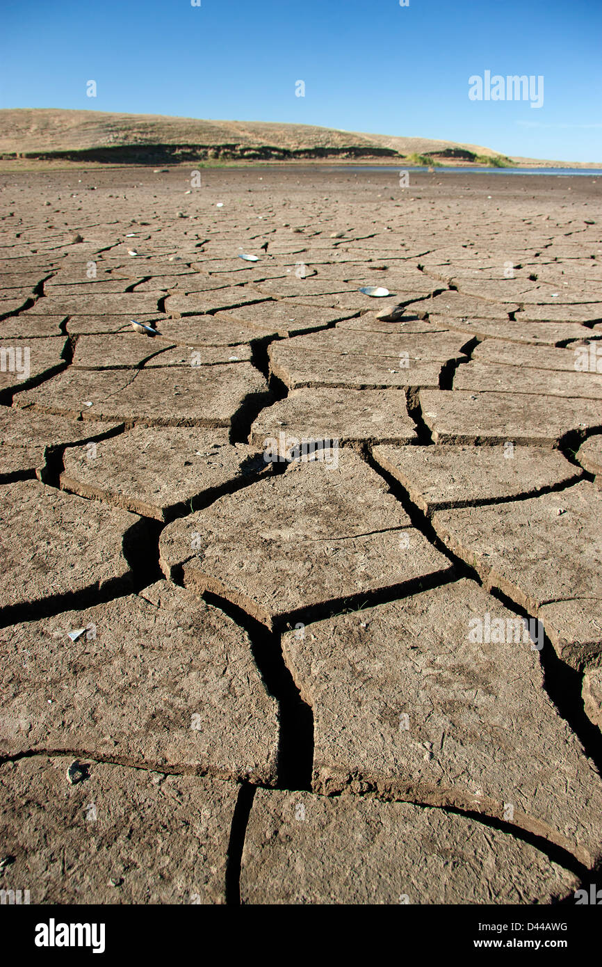 Dry earth, mud, cracked earth, the bottom of the reservoir Stock Photo ...