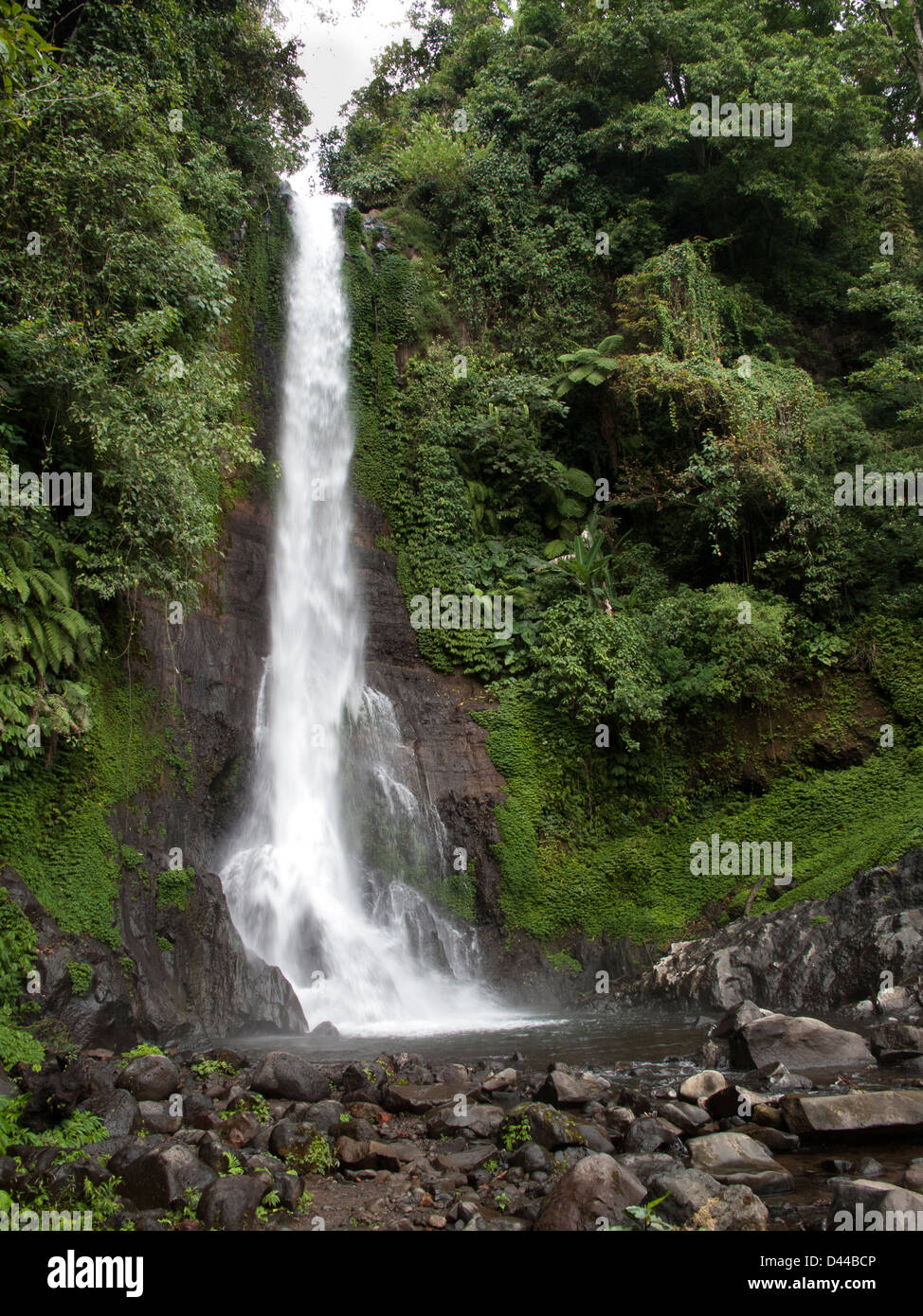 Git hi-res stock photography and images - Alamy