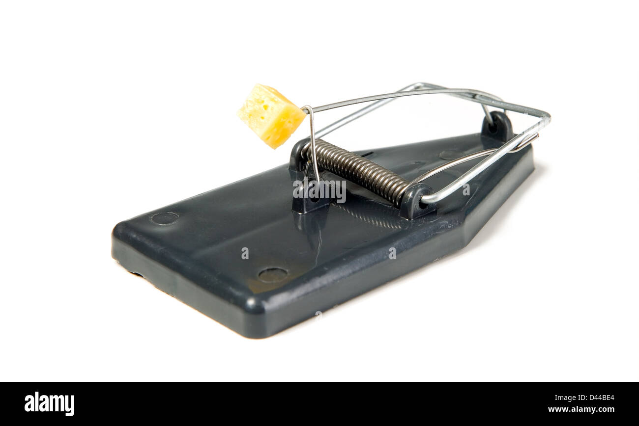 Black mouse trap Cut Out Stock Images & Pictures - Alamy