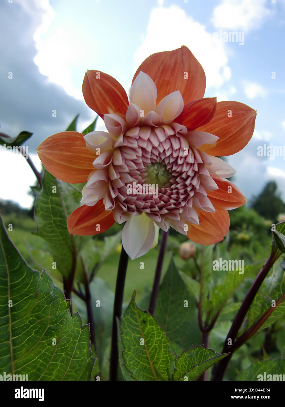 Botanical Garden of Vilnius University (Republic of Lithuania Stock ...