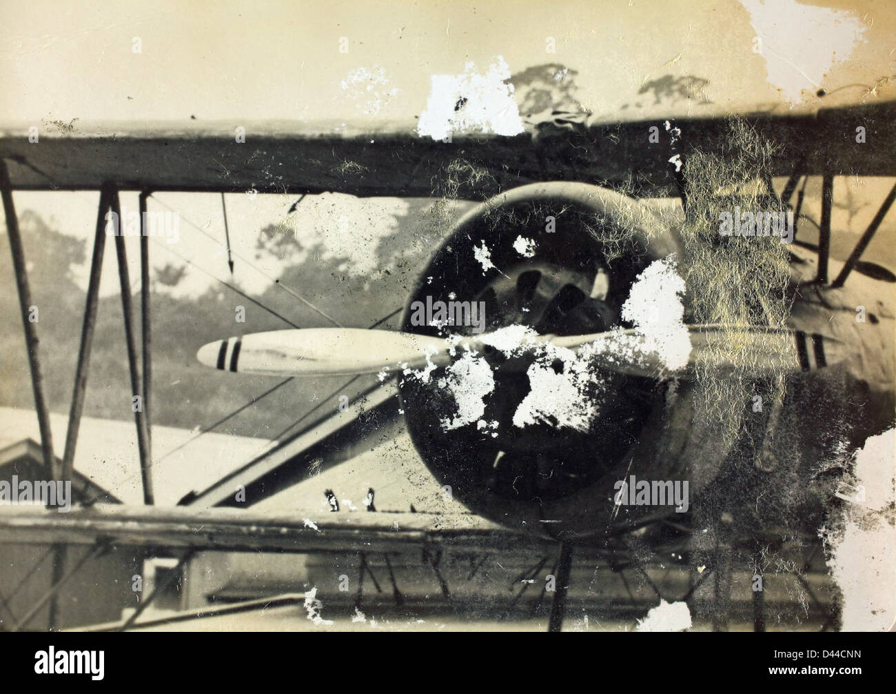 The Nakajima E8N, known as the Dave, was a Japanese reconnaissance ...