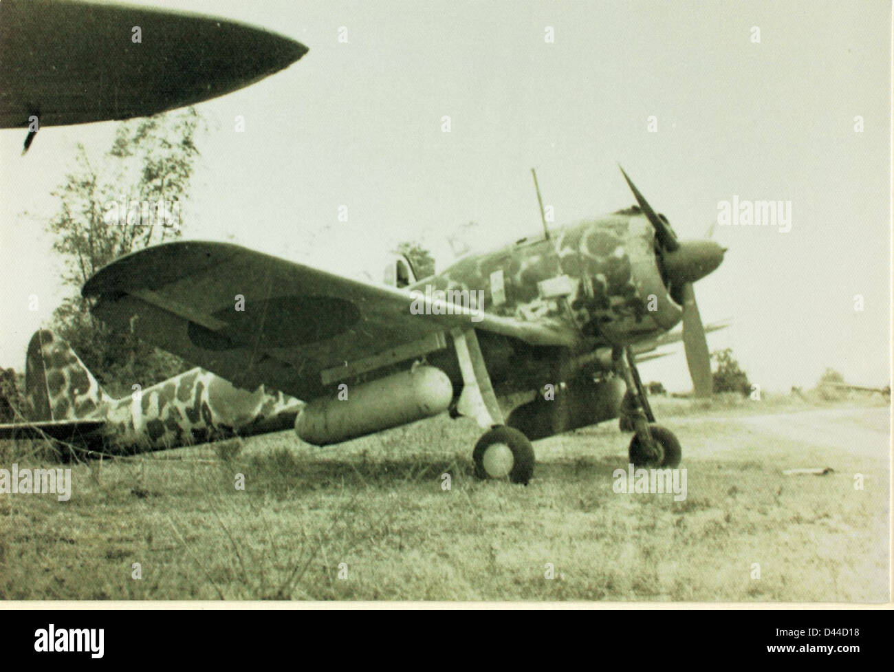 The Nakajima Ki-43 Hayabusa, also known as the 'Peregrine Falcon' and ...