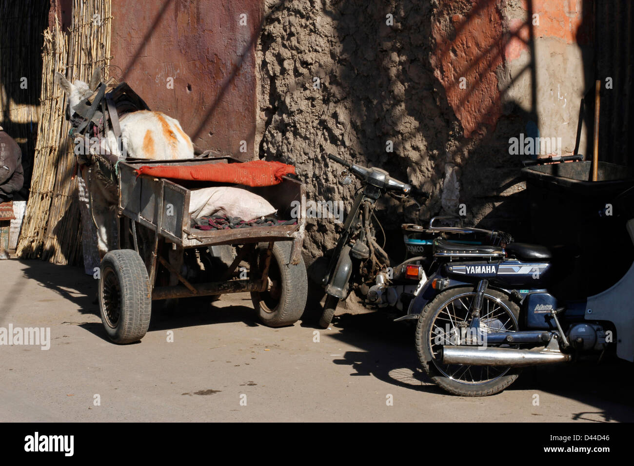 Donkeys cart hi-res stock photography and images - Alamy